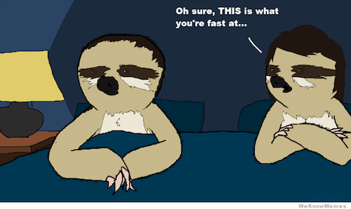 Memes | Just Slothing Around